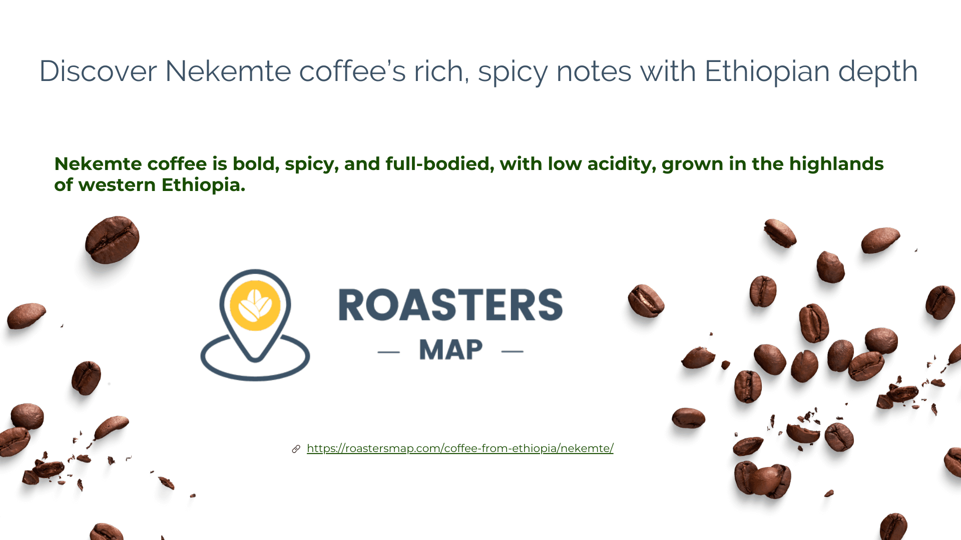 Best Coffee Roasters in Nekemte for Premium Brews | Roasters Map