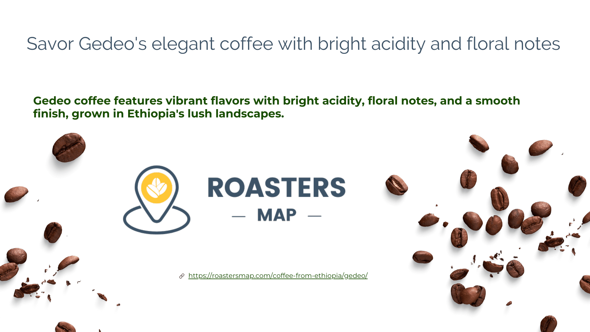Best Coffee Roasters in Gedeo for Rich Flavors | Roasters Map