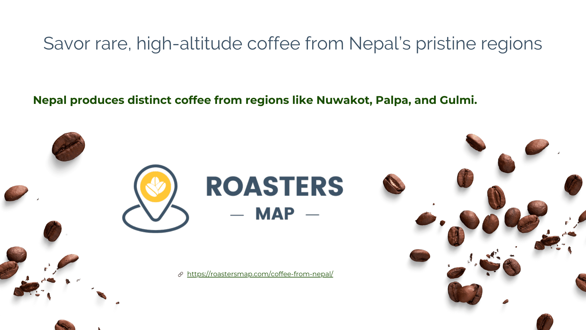 Best Coffee Roasters in Nepal for Premium Brews| Roasters Map